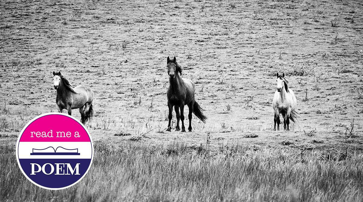“The Horses” by Ted Hughes - The American Scholar