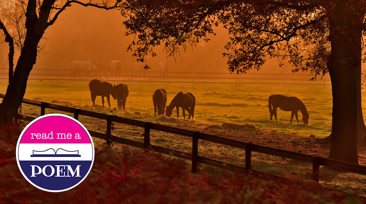 “A Blessing” by James Wright - The American Scholar