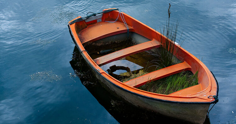 My Sinking Ship - The American Scholar